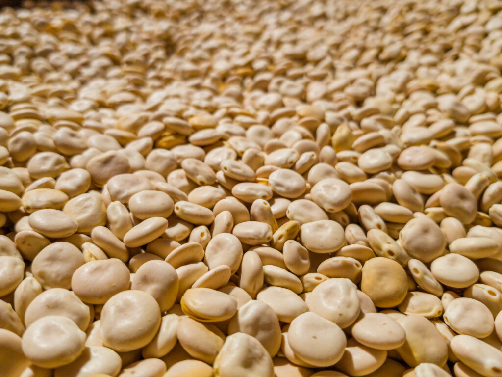 Lupin - Les produits de Nouvelle-Aquitaine